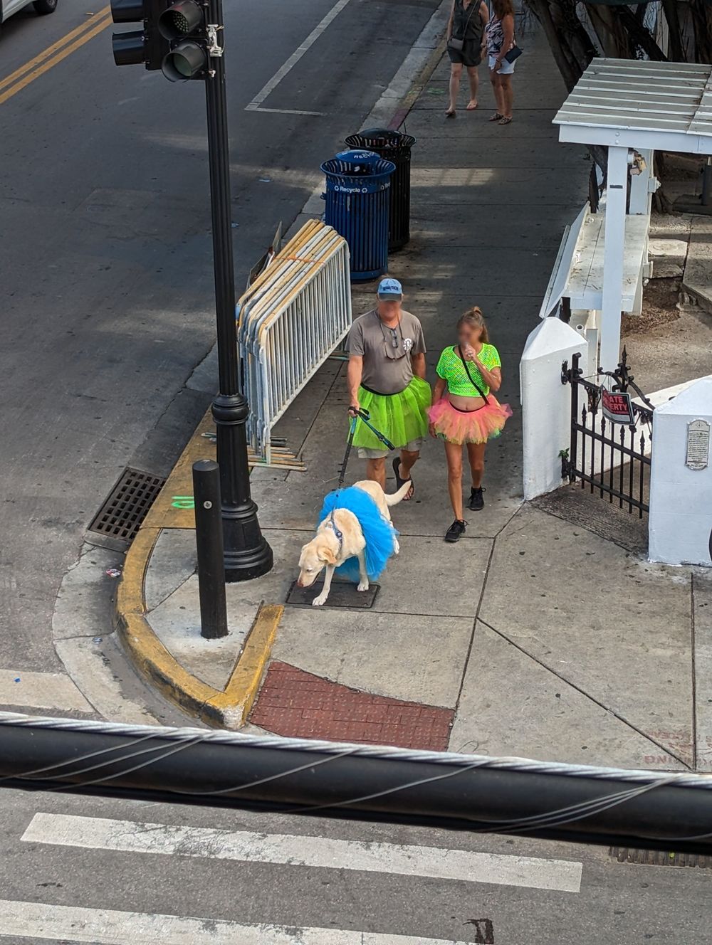 Fantasy Fest: Overview || Key West, FL